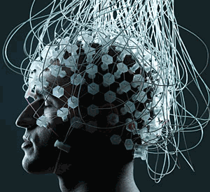 Experience Machines – Gary Basin